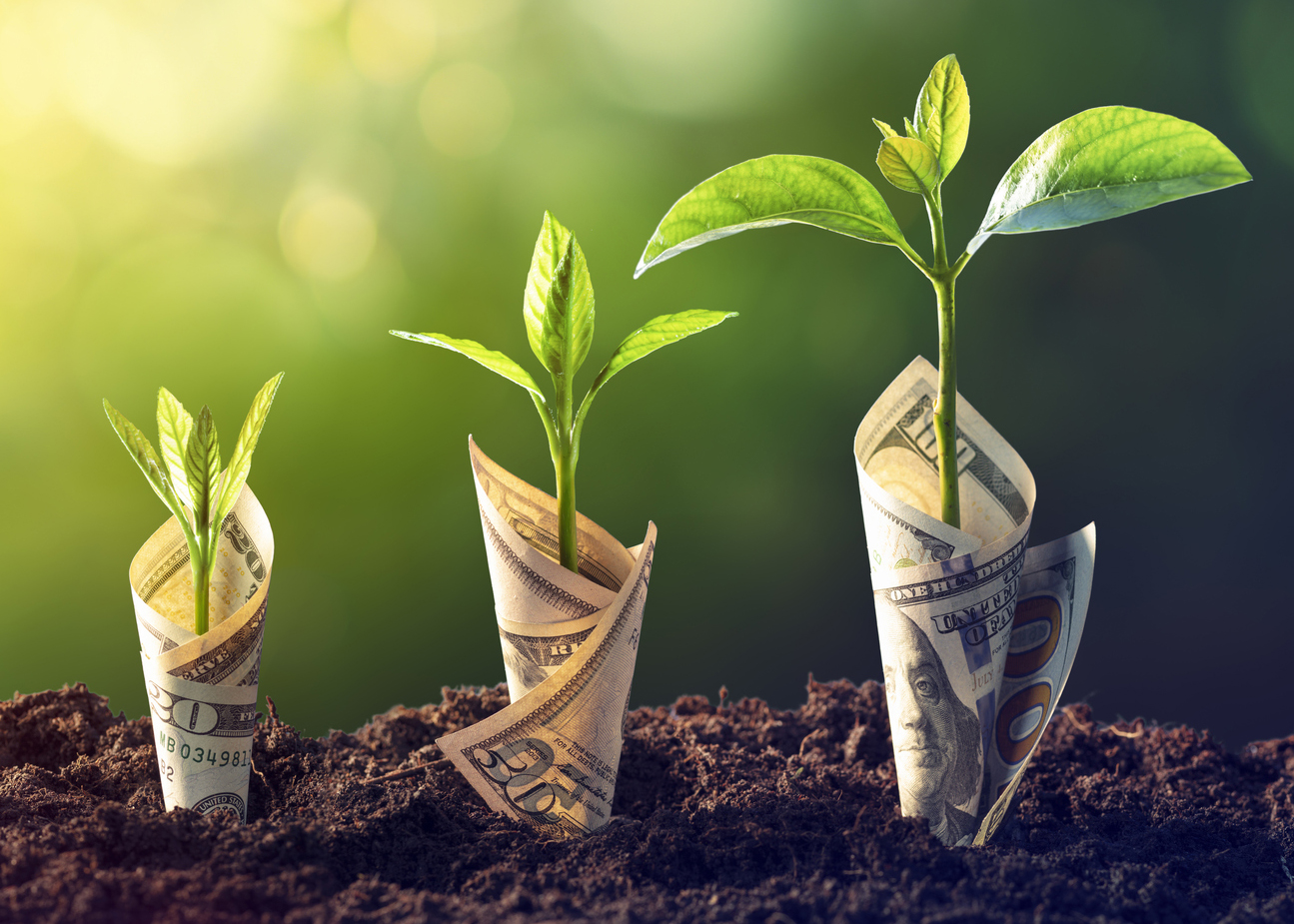 Ember Infrastructure wraps up maiden fund at $340m