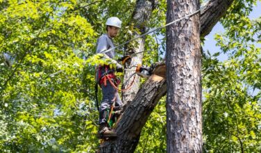 Buyouts | Unrivaled US Mid-Market Private Equity Insights & Data